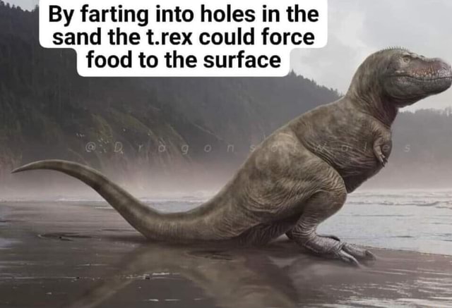 By farting into holes in the sand the t.rex could force food to the ...