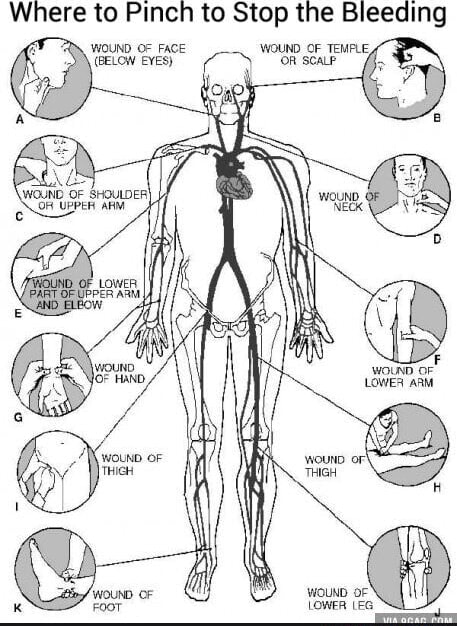 Where to Pinch to Stop the Bleeding WOUND OF FACE 'WOUND OF TEMPLE ...