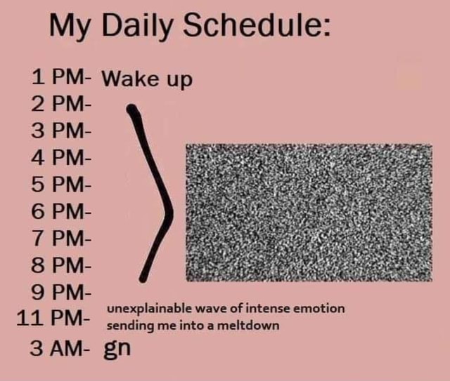 My Daily Schedule: 1 PM- Wake up 2 PM- 3 PM- 4 PM- 5 PM- 6 PM- PM- 8 PM ...