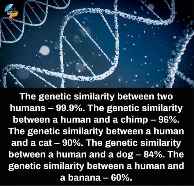 The genetic similarity between two humans 99.9%. The genetic similarity ...