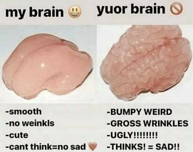My brain -no weinkis -cant think=no sad yuor brain © -GROSS WRINKLES ...