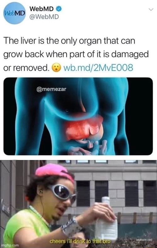 WebMD The liver is the only organ that can grow back when part of it is ...