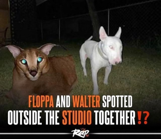FLOPPA AND WALTER SPOTTED OUTSIDE THE TOGETHER Rap - iFunny