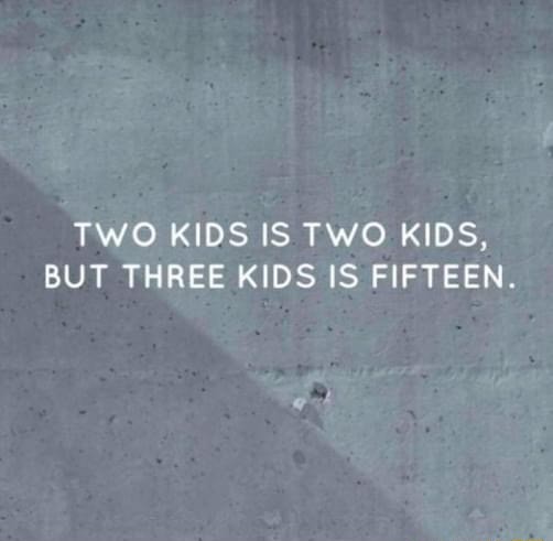 TWO KIDS IS TWO KIDS, BUT THREE KIDS IS FIFTEEN. - iFunny