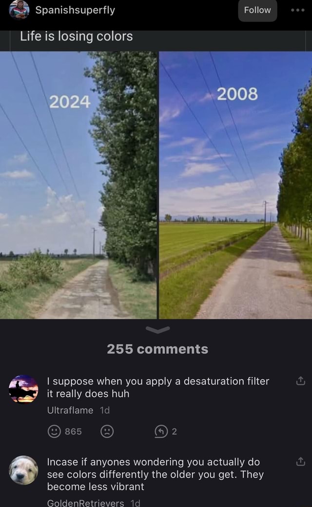 Follow 2008 Spanishsuperfly Life is losing colors 255 comments ie I ...