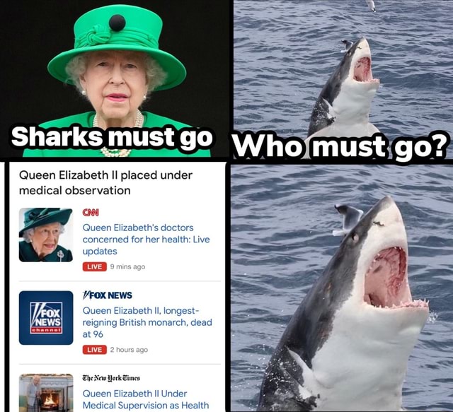 Sharks must go Queen Elizabeth II placed under medical observation ...