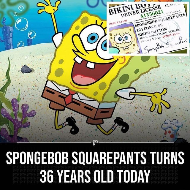SPONGEBOB SQUAREPANTS TURNS 36 YEARS OLD TODAY - iFunny