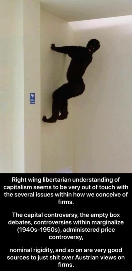 Right wing libertarian understanding of capitalism seems to be very out ...