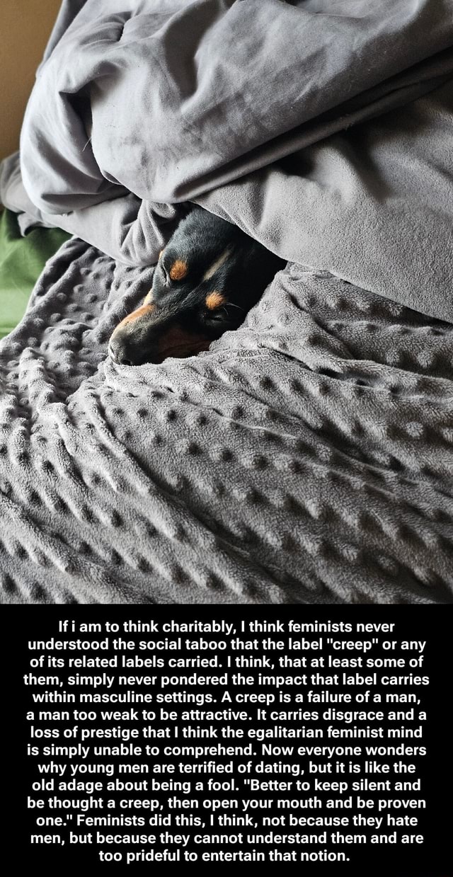 If i am to think charitably, I think feminists never understood the ...