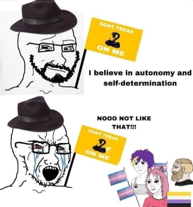 I believe in autonomy and self-determination NOOO NOT LIKE THATI!! - iFunny