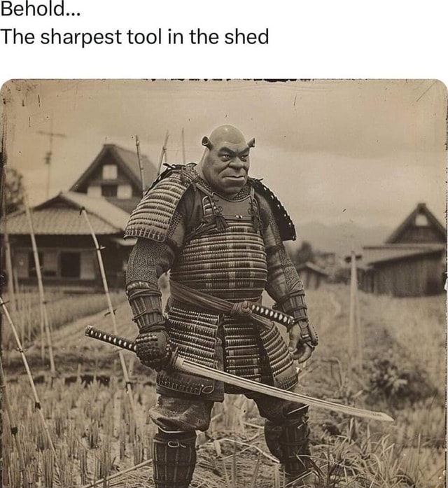 Benold... The sharpest tool in the shed - iFunny