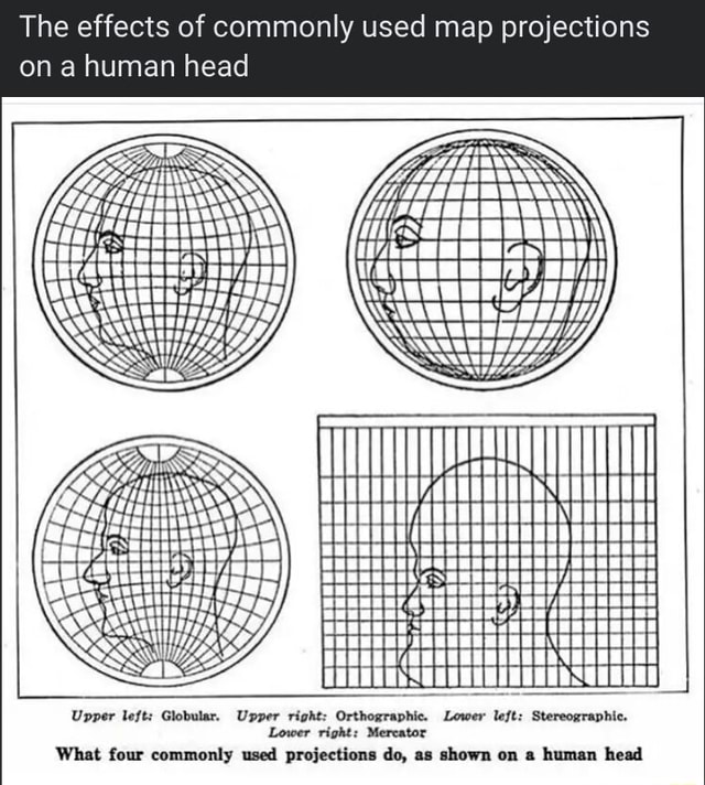 The effects of commonly used map projections on a human head WAS Upper ...