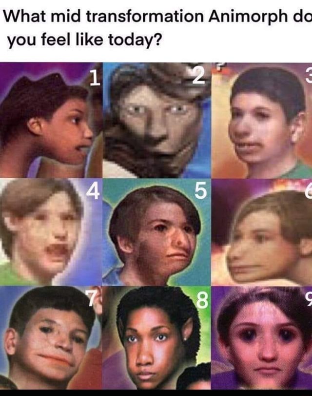What mid transformation Animorph do you feel like today? - iFunny