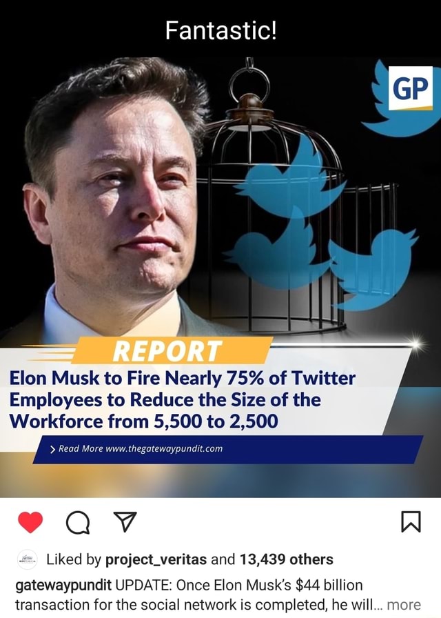 Fantastic! Elon Musk to Fire Nearly 75% of Twitter Employees to Reduce ...