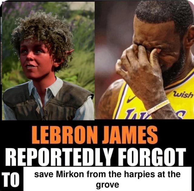 LEBRON JAMES REPORTEDLY FORGOT save Mirkon from the harpies at the ...