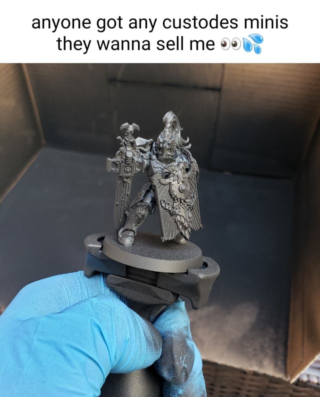 Anyone got any custodes minis they wanna sell me - iFunny