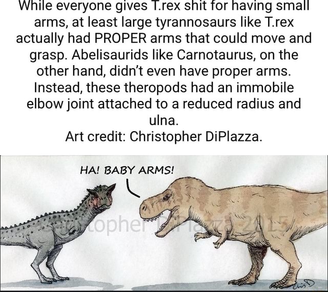 While everyone gives [rex snit for having small arms, at least large ...