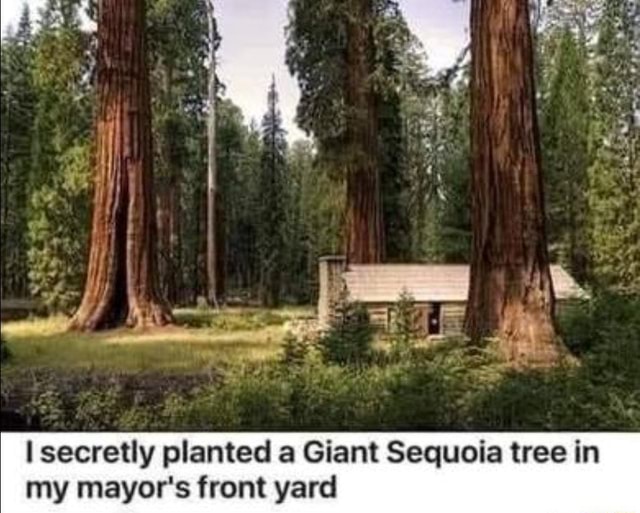 "A Story of Death, New Life, & Revenge" - secretly planted a Giant ...