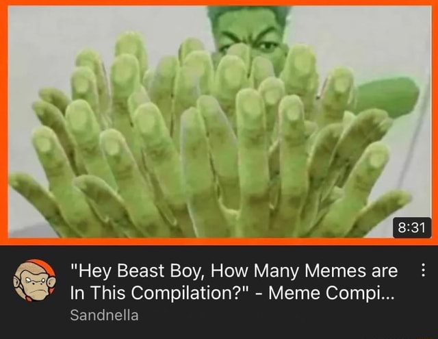 as /ab "Hey Beast Boy, How Many Memes are In This Compilation?" - Meme ...