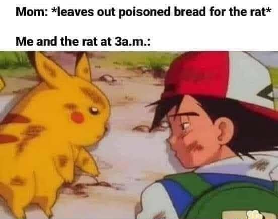 Mom: *leaves out poisoned bread for the rat* Me and the rat at 3a.m ...