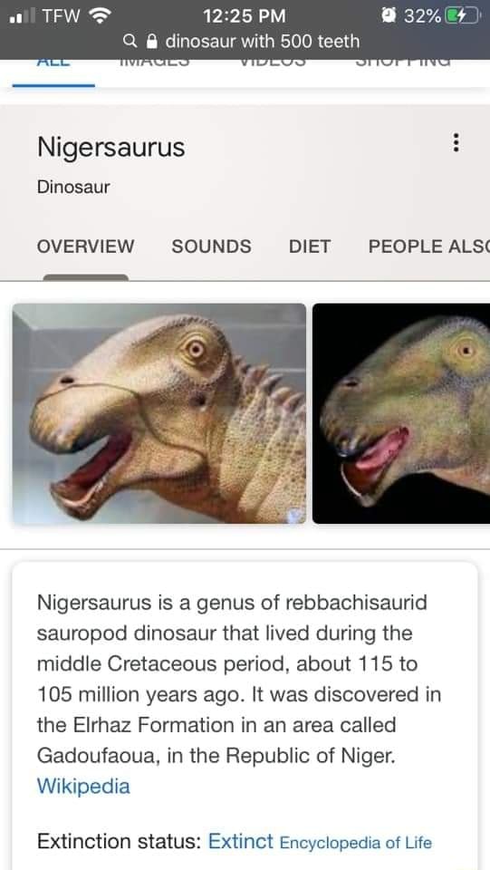 Dinosaur with 500 teeth Nigersaurus Dinosaur OVERVIEW SOUNDS DIET ...