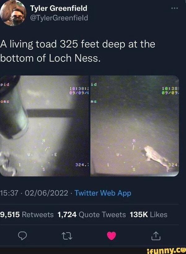Tyler Greenfield A living toad 325 feet deep at the bottom of Loch Ness ...