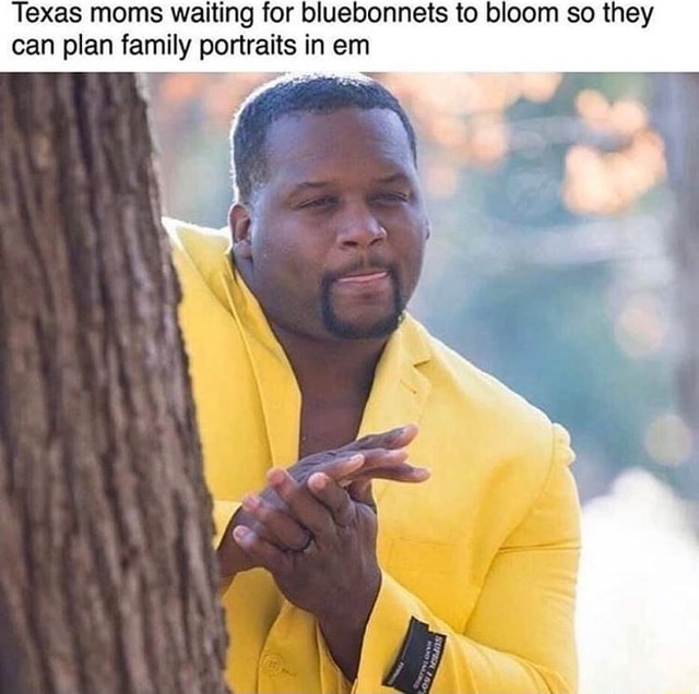 Texas moms waiting for bluebonnets to bloom so they can plan family ...