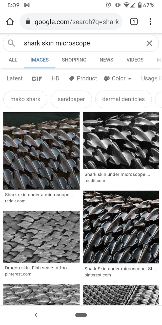 CA 67% Q shark skin microscope ALL IMAGES SHOPPING NEWS VIDEOS Latest ...