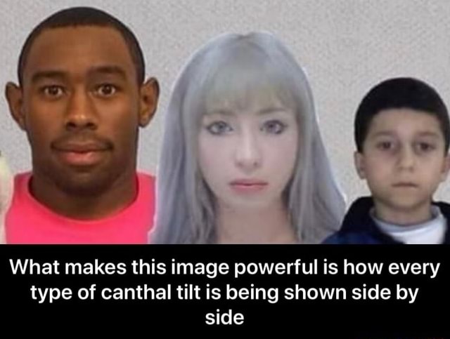 What makes this image powerful is how every type of canthal tilt is ...