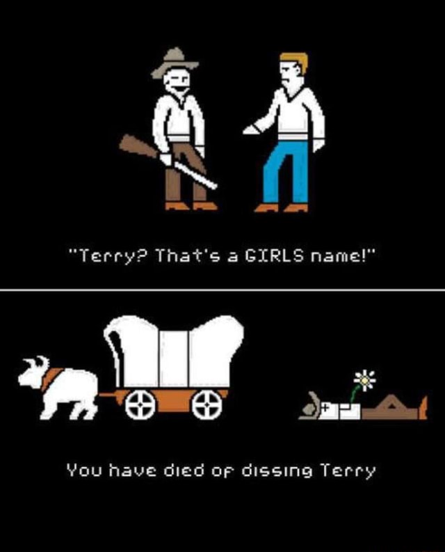 We "Terry? That's GIRLS name!" You have died oF dissing Terry - iFunny