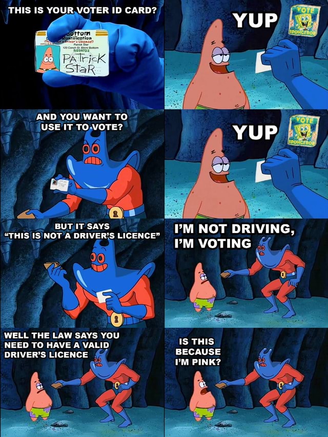 Vote 4 Spongebob! - THIS IS YOUR VOTER ID CARD? Bs AND YOU WANT TO USE ...