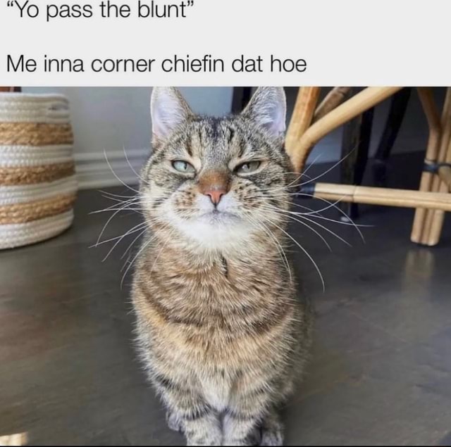 "YO pass the blunt Me inna corner chiefin dat hoe - iFunny