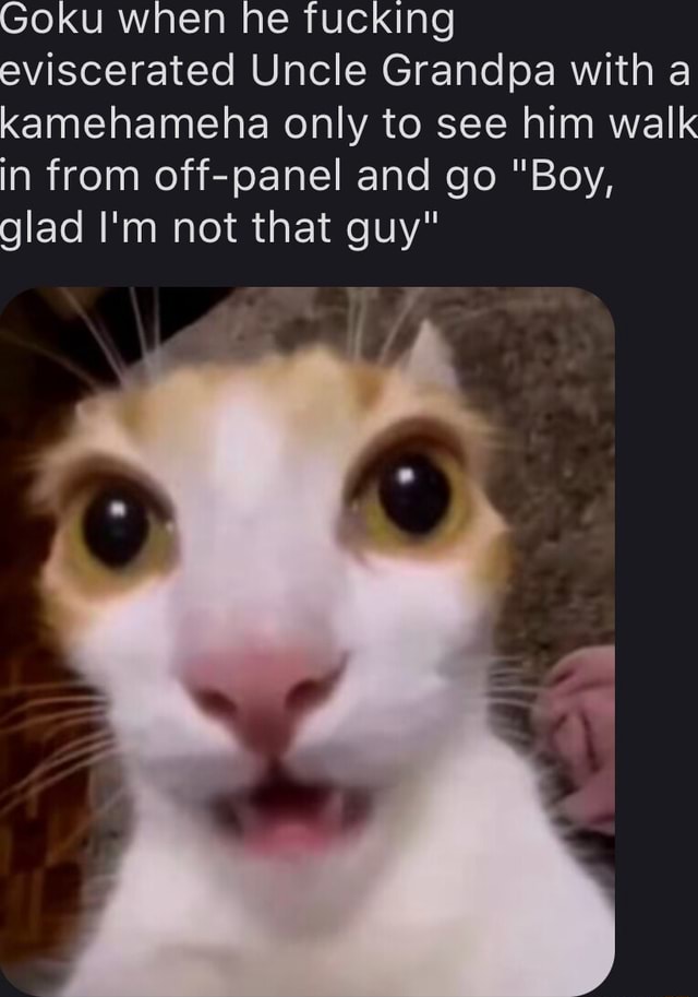 Goku when he fucking eviscerated Uncle Grandpa with a kamehameha only to see him walk in from ...