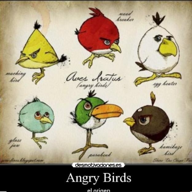 Angry Birds - iFunny
