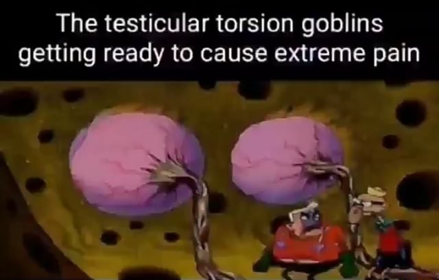 The testicular torsion goblins getting ready to cause extreme pain - iFunny