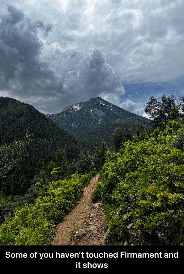 Some of you haven't touched Firmament and it shows - Some of you haven ...