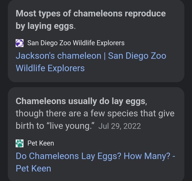 Most types of chameleons reproduce by laying eggs. San Diego Zoo Wildlife Explorers Jackson's ...