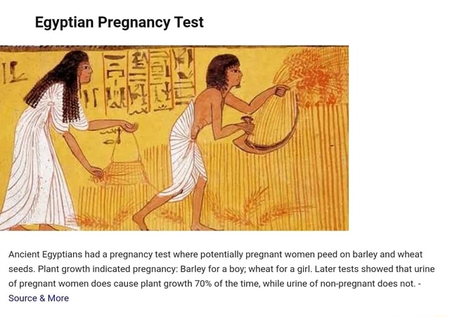 Egyptian Pregnancy Test Ancient Egyptians Had A Pregnancy Test Where