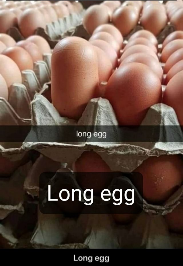 Long egg Long egg Long egg - iFunny