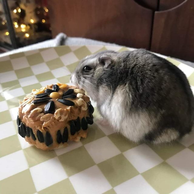 A fancy man and his fancy cake - America’s best pics and videos