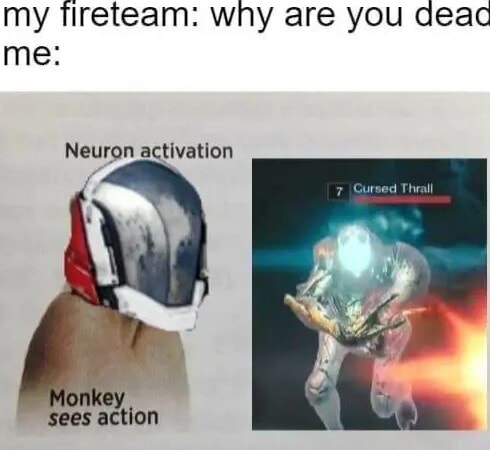 My Tireteam: why are you deac me: Neuron activation lonkey Sees action ...