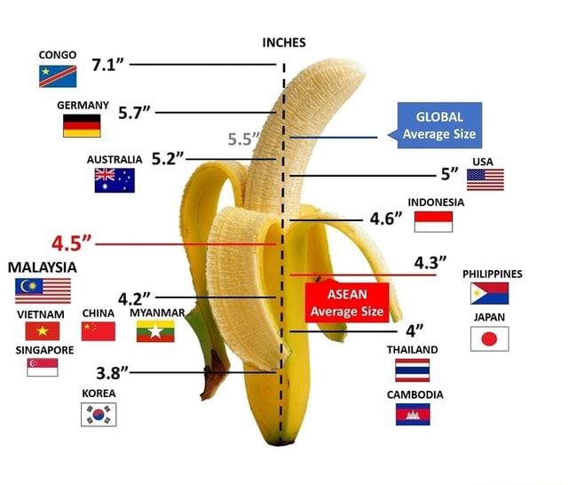 INCHES CONGO 7.1" GERMANY = 5.7 GLOBAL Average Size AUSTRALIA 5,2" 5 ...