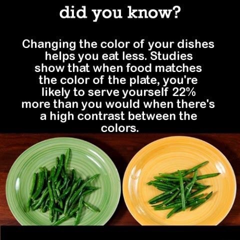 Did you know? Changing the color of your dishes helps you eat less ...