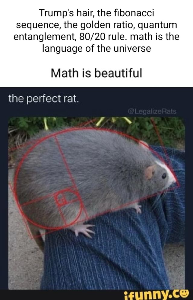 Trump's hair, the fibonacci sequence, the golden ratio, quantum ...