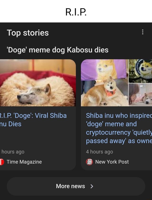 Top stories 'Doge' meme dog Kabosu dies 'Doge': Viral Shiba Shiba inu ...