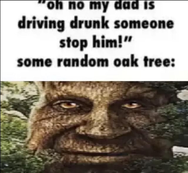 Driving drunk someone stop him!" some random oak tree: - iFunny