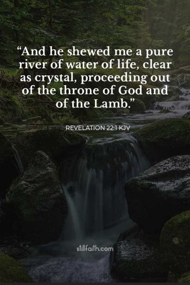 "And he shewed me a pure river of water of life, clear as crystal ...