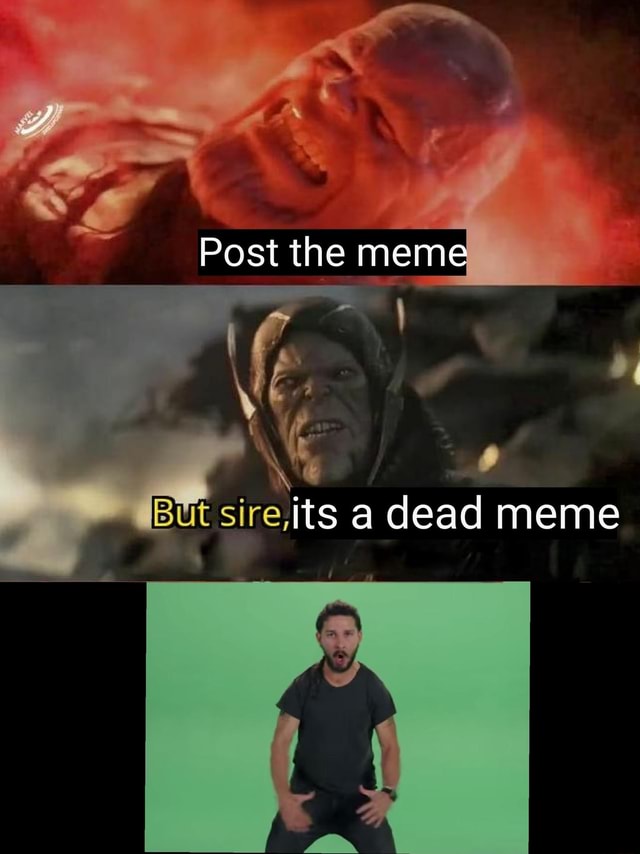 But sire,its a dead meme s H - iFunny