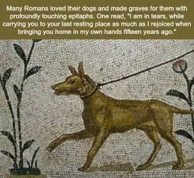 Many Romans loved their dogs and made graves for them with profoundly ...
