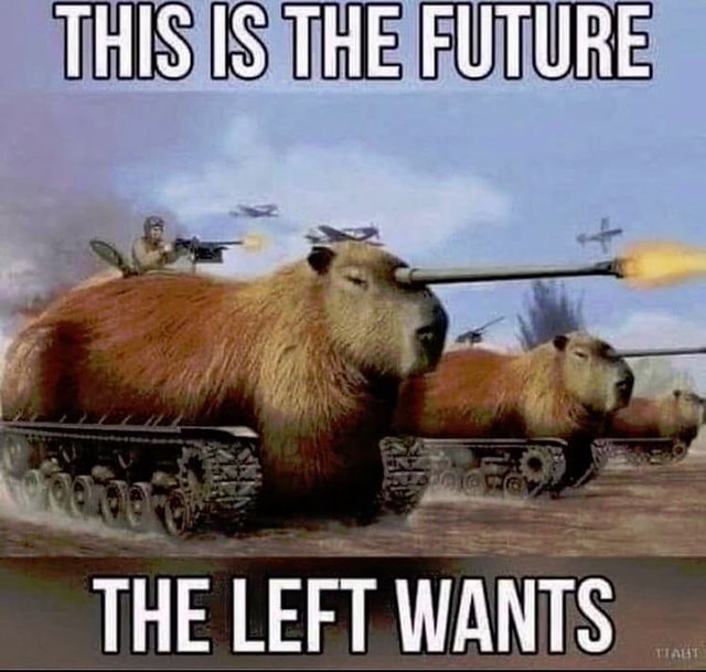 THIS THE FUTURE THE LEFT WANTS - iFunny